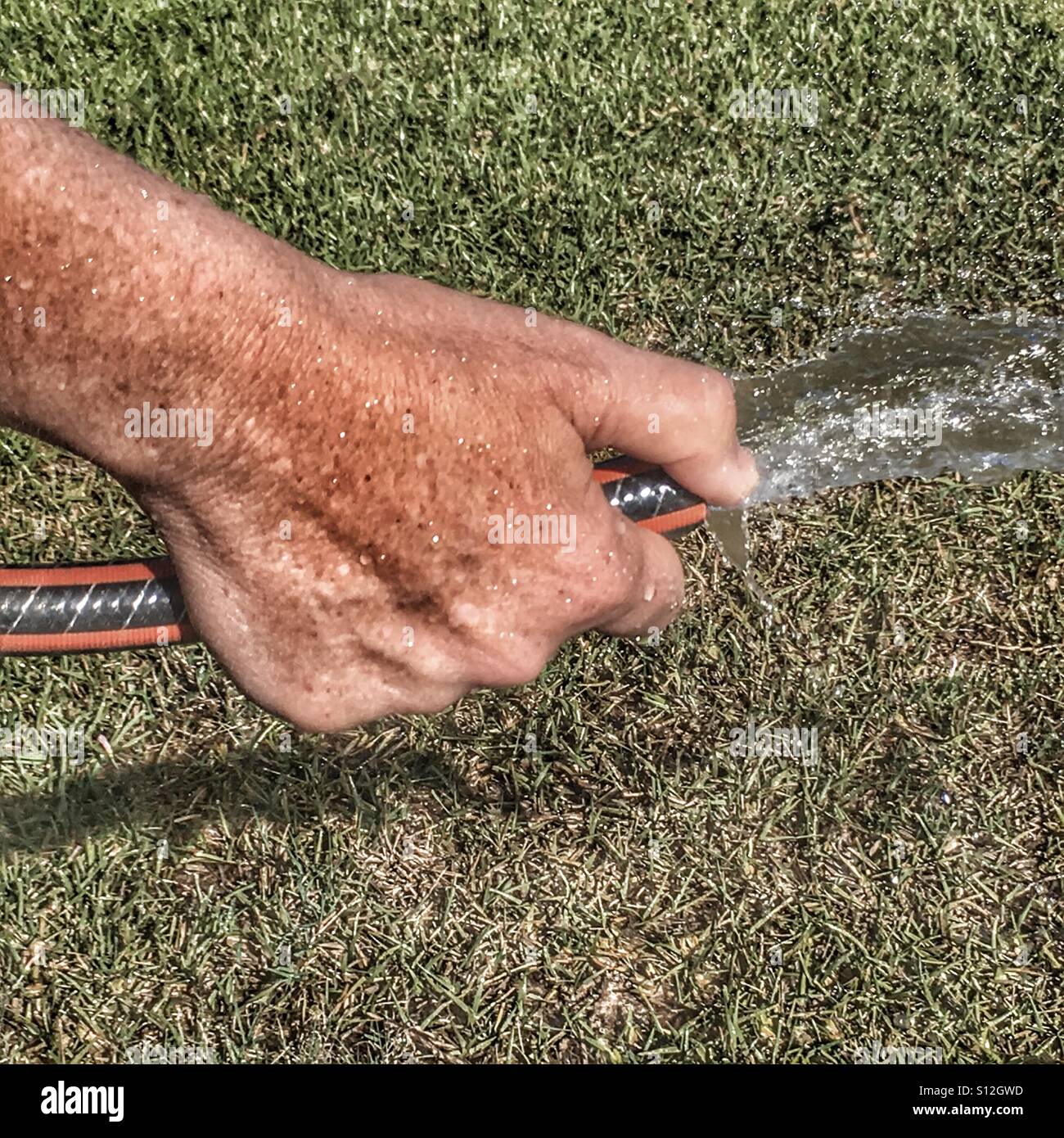 Spraying water from a garden hose pipe Stock Photo - Alamy
