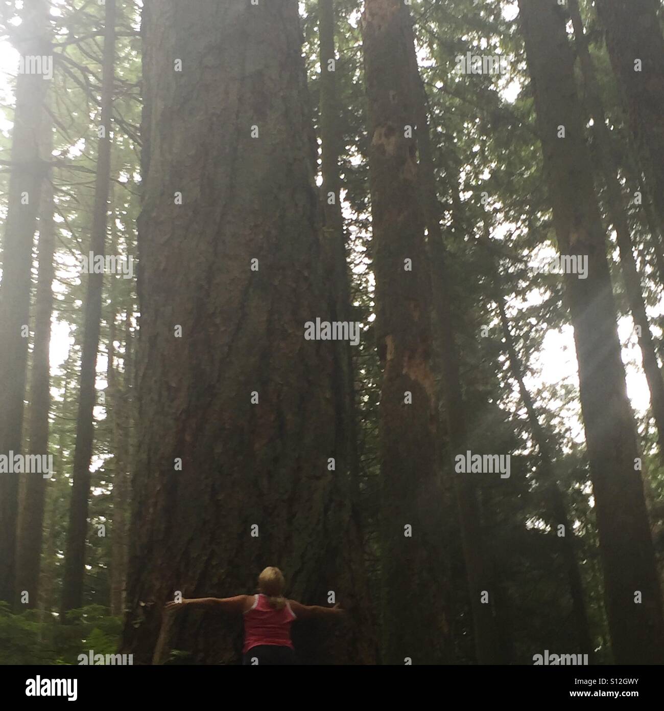 Giants Among Us Stock Photo - Alamy Giants Among Us Stock Photo - Alamy