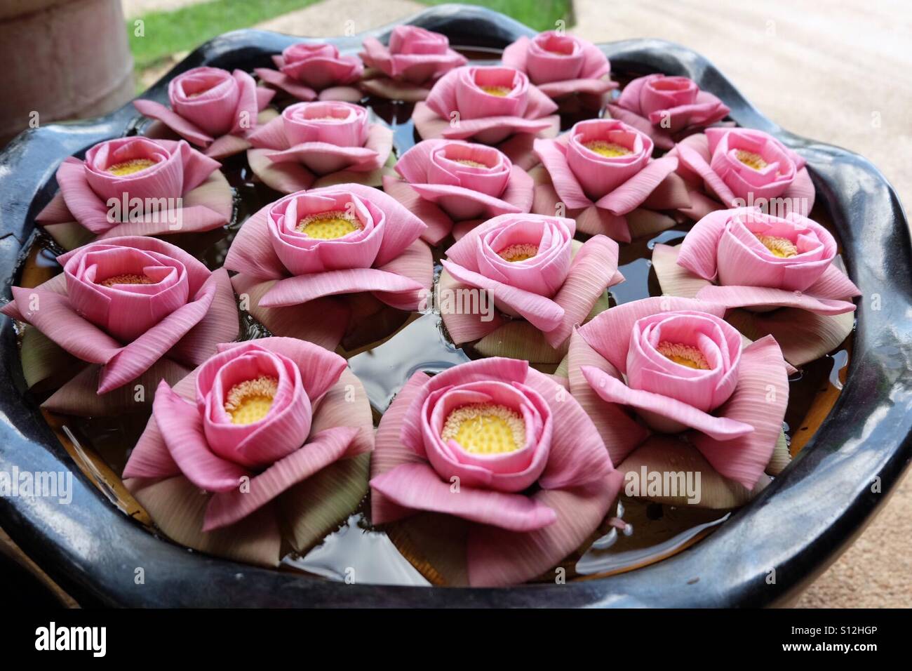 Floating flowers hi-res stock photography and images - Alamy