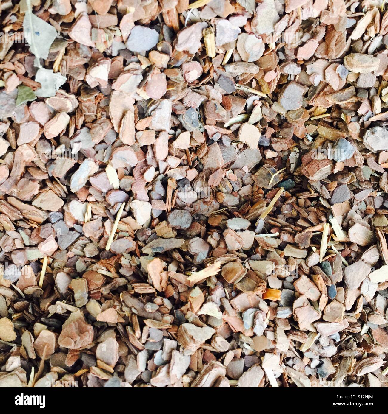 The ground and trees hi-res stock photography and images - Alamy