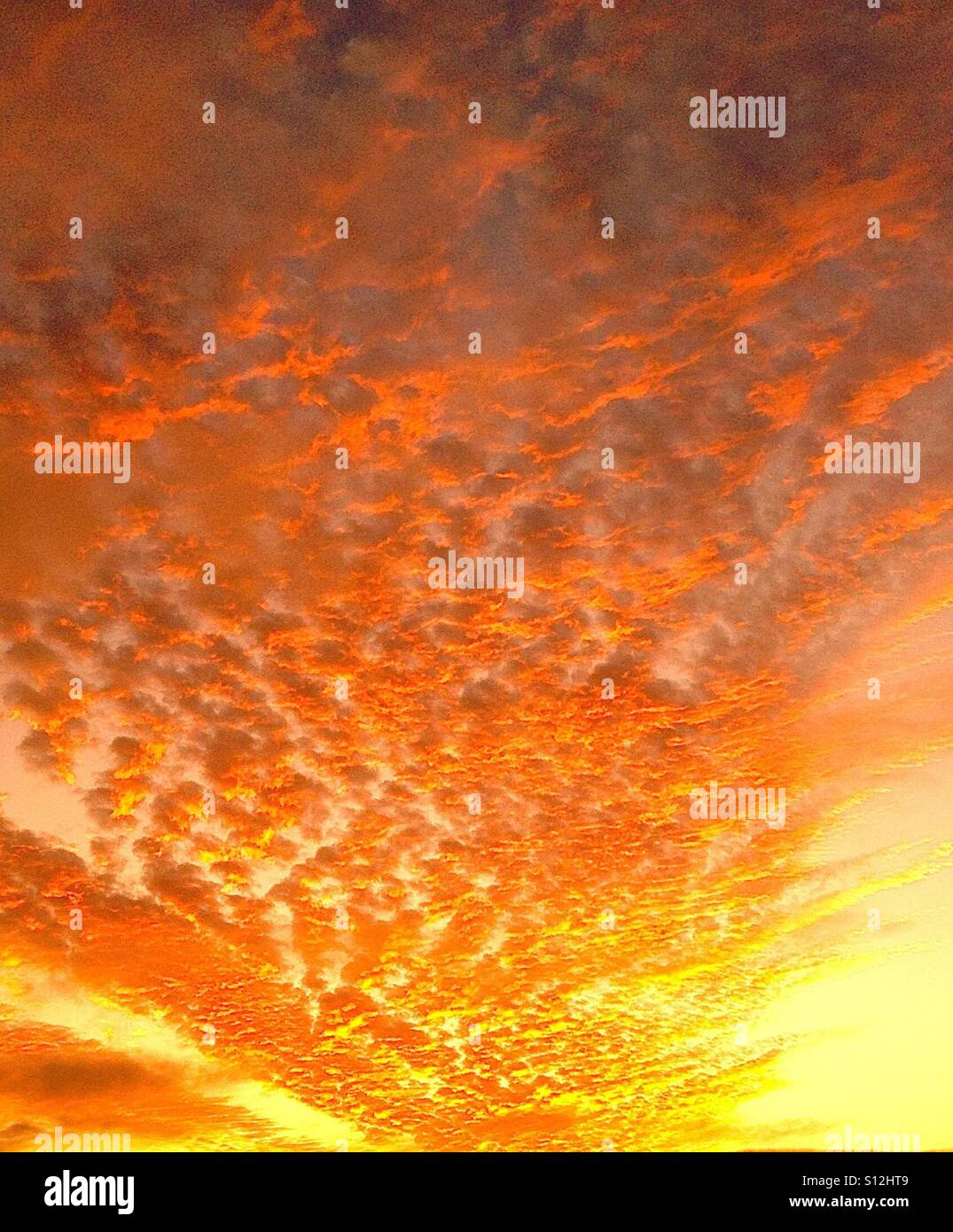 Fiery clouds at sunset Stock Photo - Alamy
