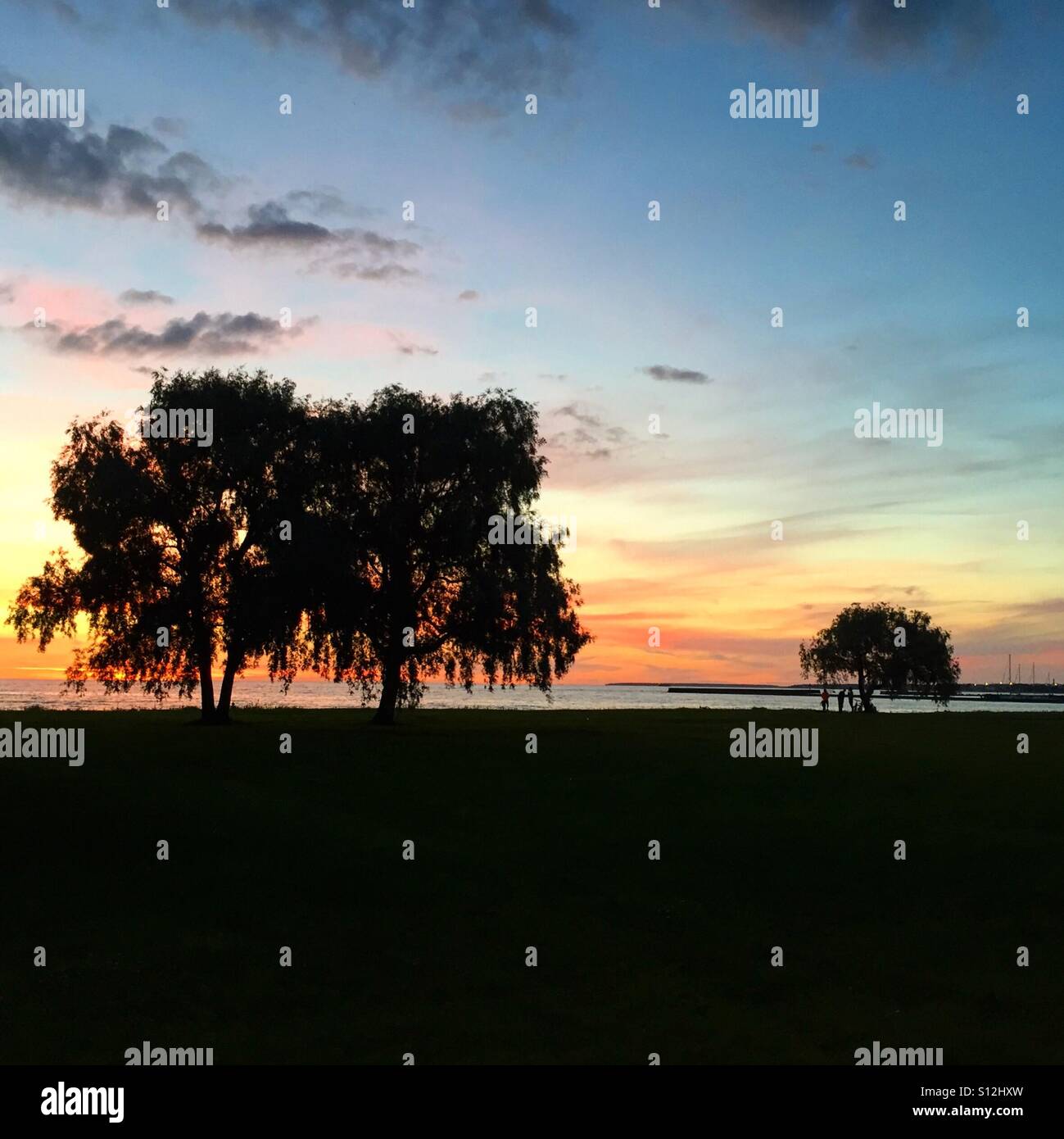 Sunset and tree Stock Photo - Alamy