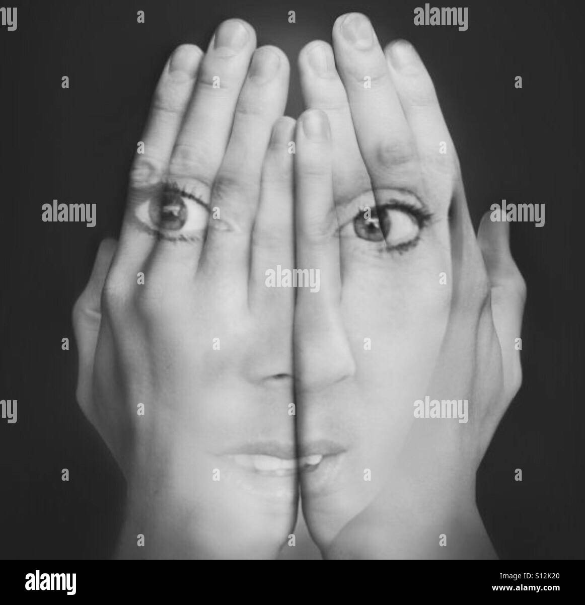 Hide Black and White Stock Photos & Images - Alamy