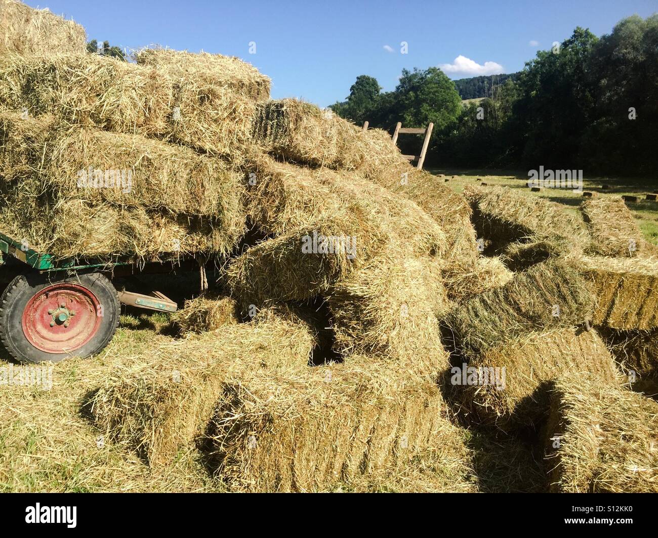 Farming accident hi-res stock photography and images - Alamy