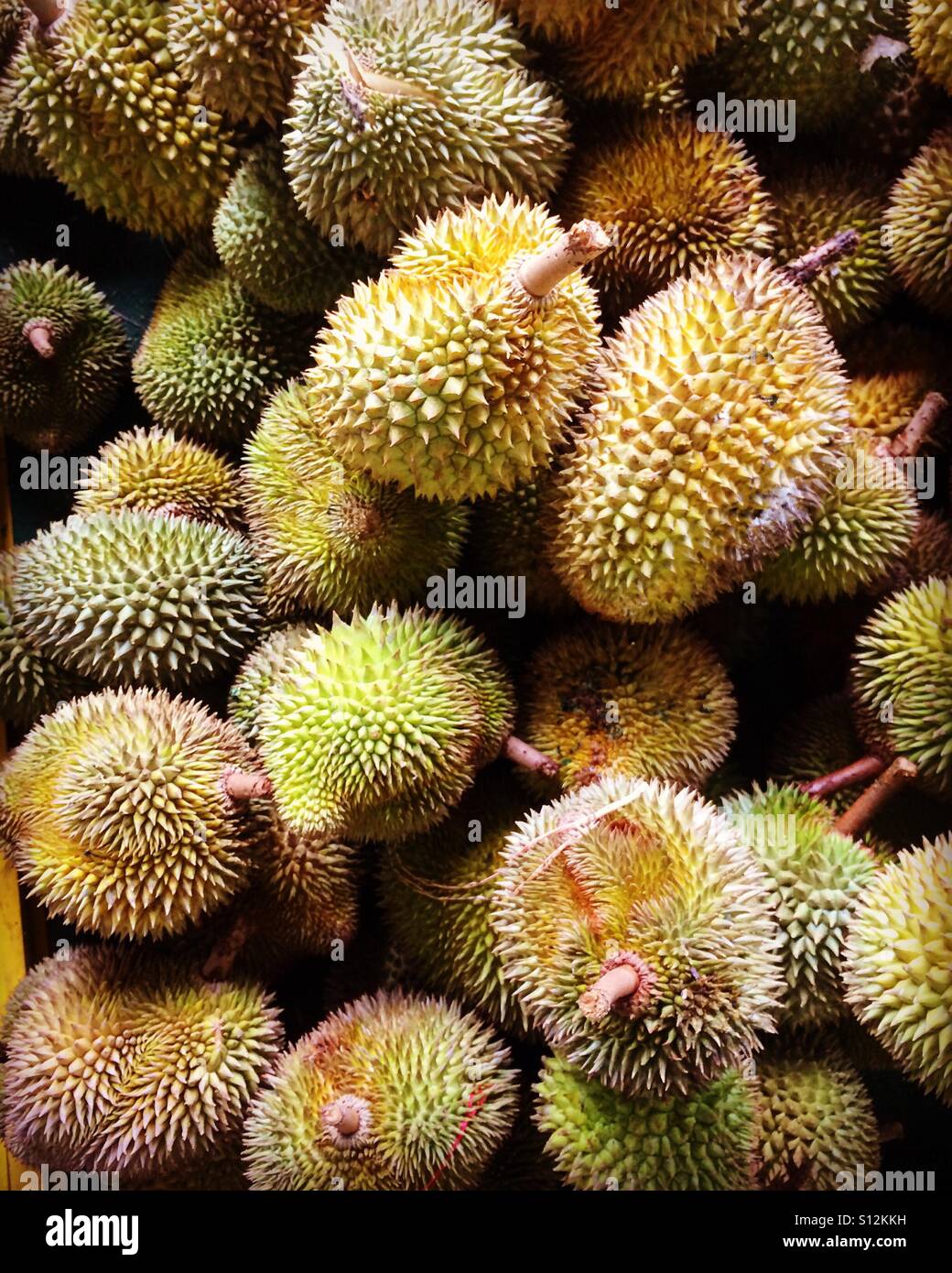 Durians hi-res stock photography and images - Alamy