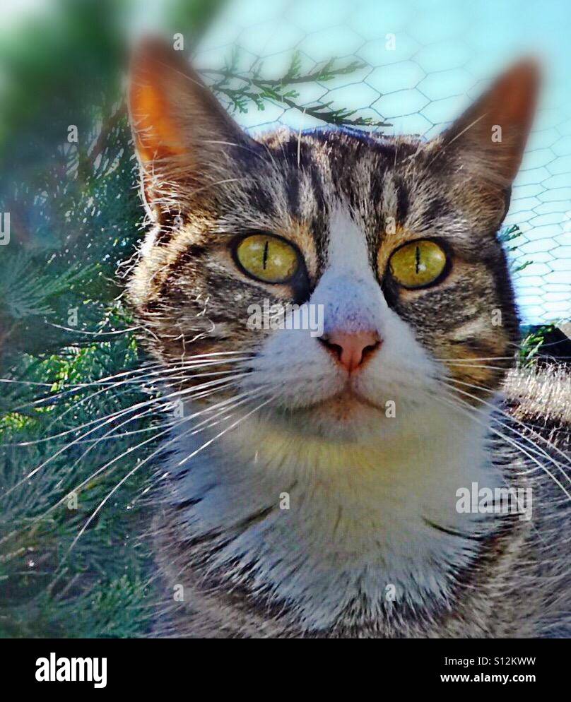 Oohh hi-res stock photography and images - Alamy