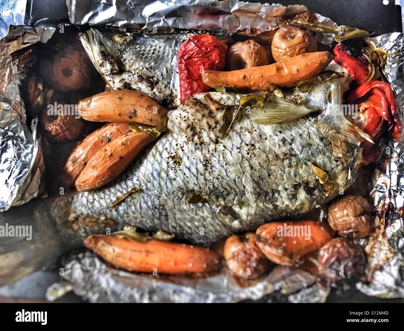 Barramundi fish hi-res stock photography and images - Alamy