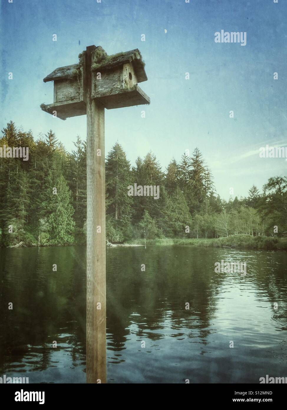 A duplex birdhouse at Eel Lake in Oregon, USA Stock Photo - Alamy