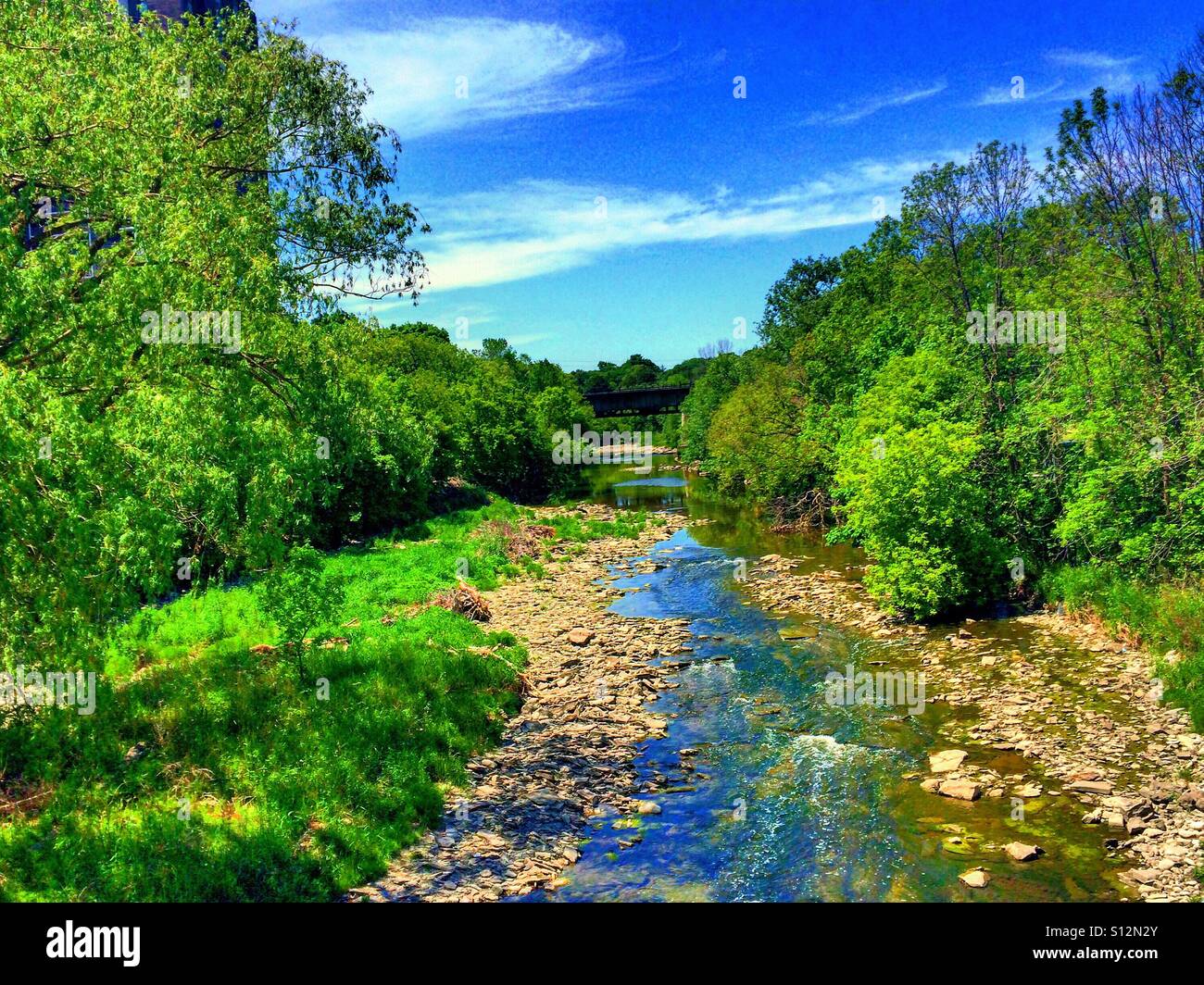The lush summer river Stock Photo - Alamy