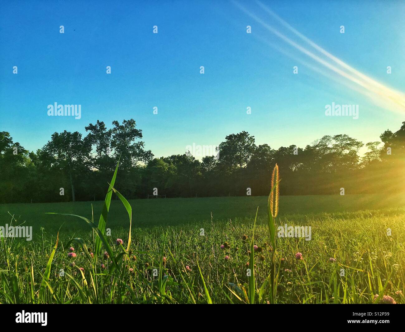 Light flairs hi-res stock photography and images - Alamy