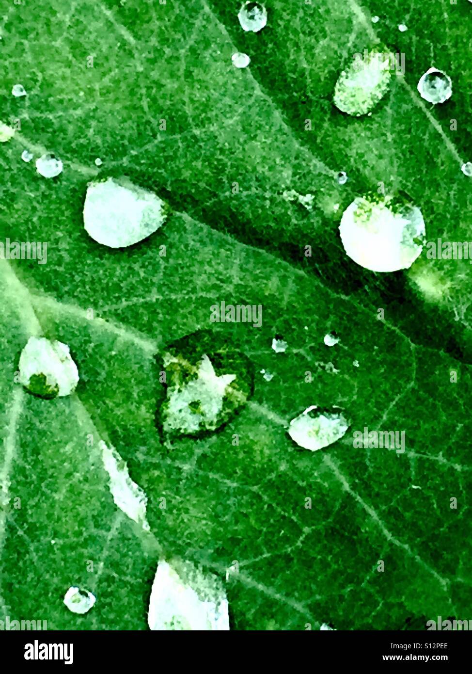 Macro rain drops Stock Photo - Alamy