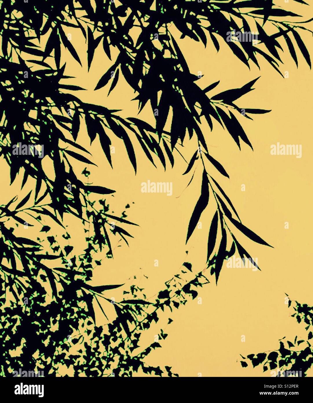 Yellow patterns hi-res stock photography and images - Alamy