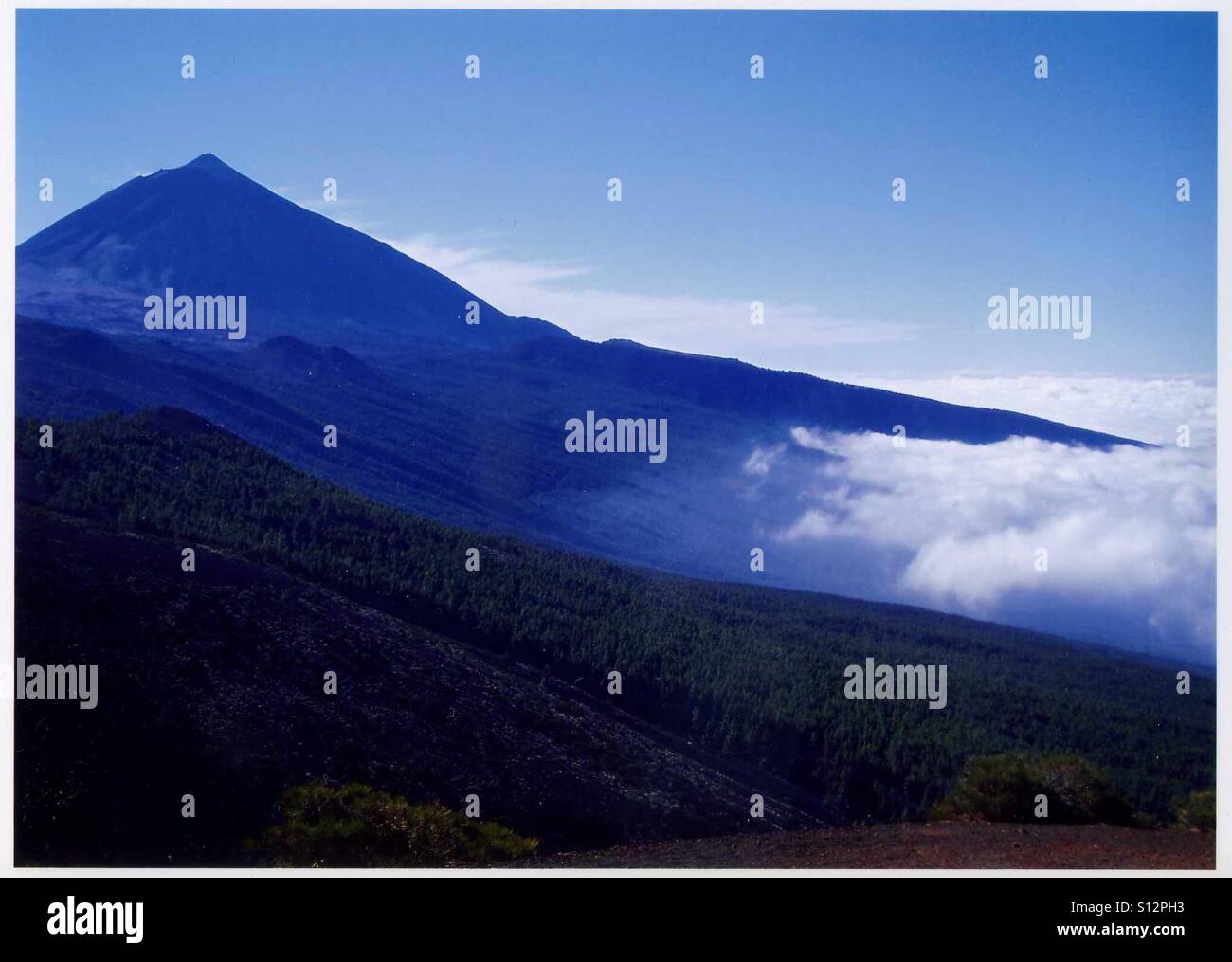 Tidi hi-res stock photography and images - Alamy