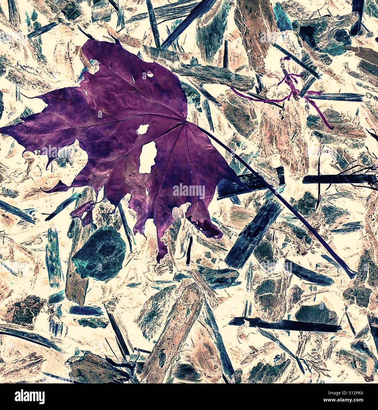 Print sketch hi-res stock photography and images - Alamy