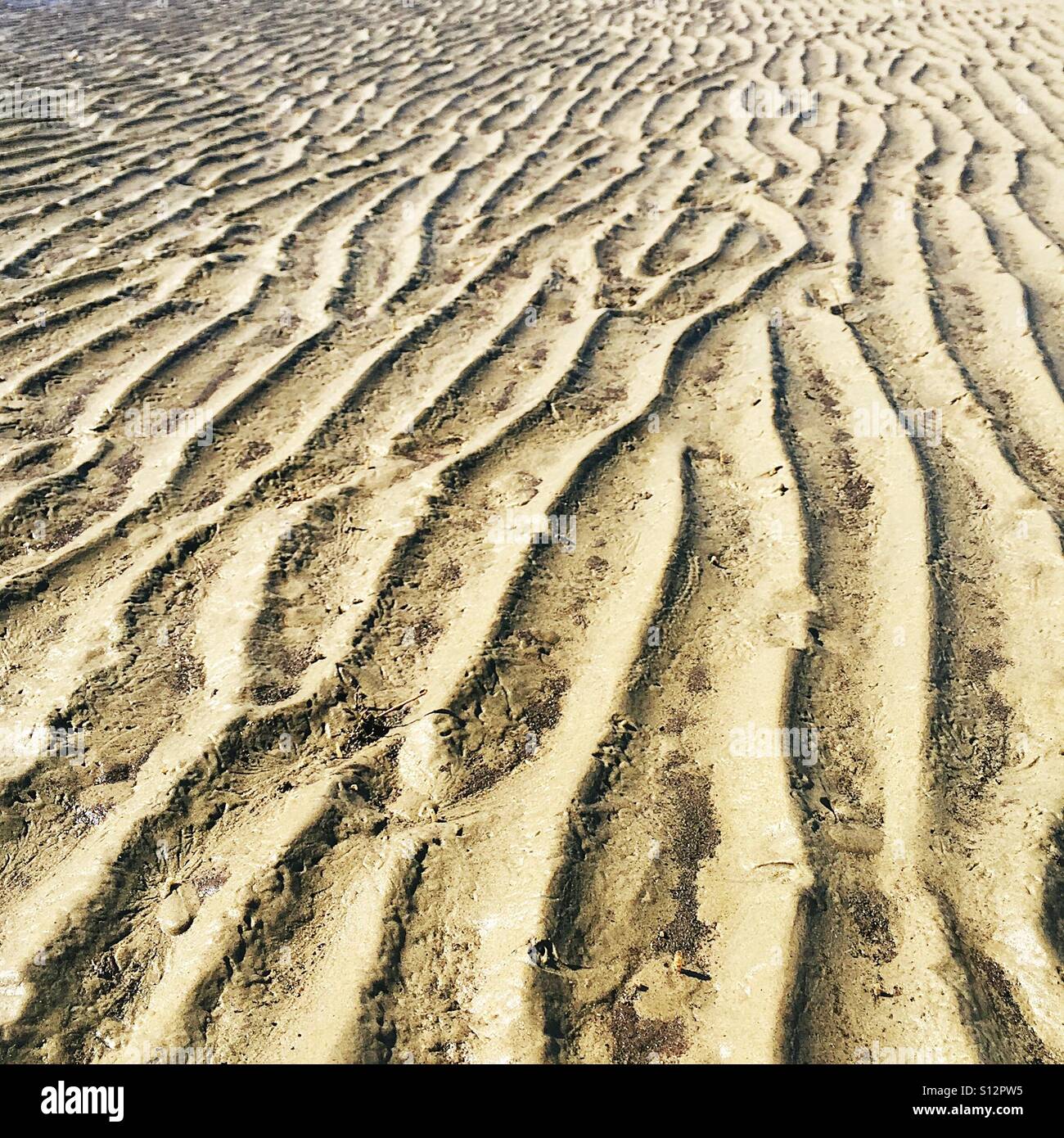 Ripples in the sand Stock Photo - Alamy