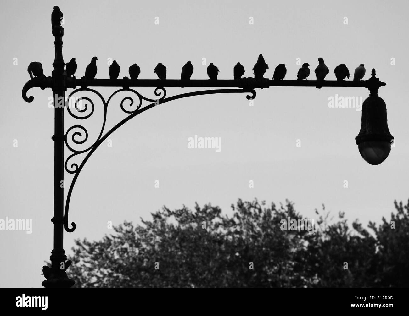 Fall in line hi-res stock photography and images - Alamy