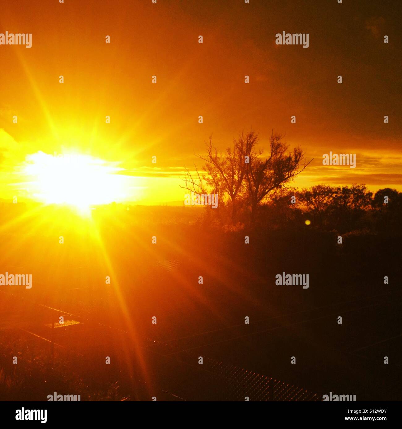 Burst of sun hi-res stock photography and images - Alamy