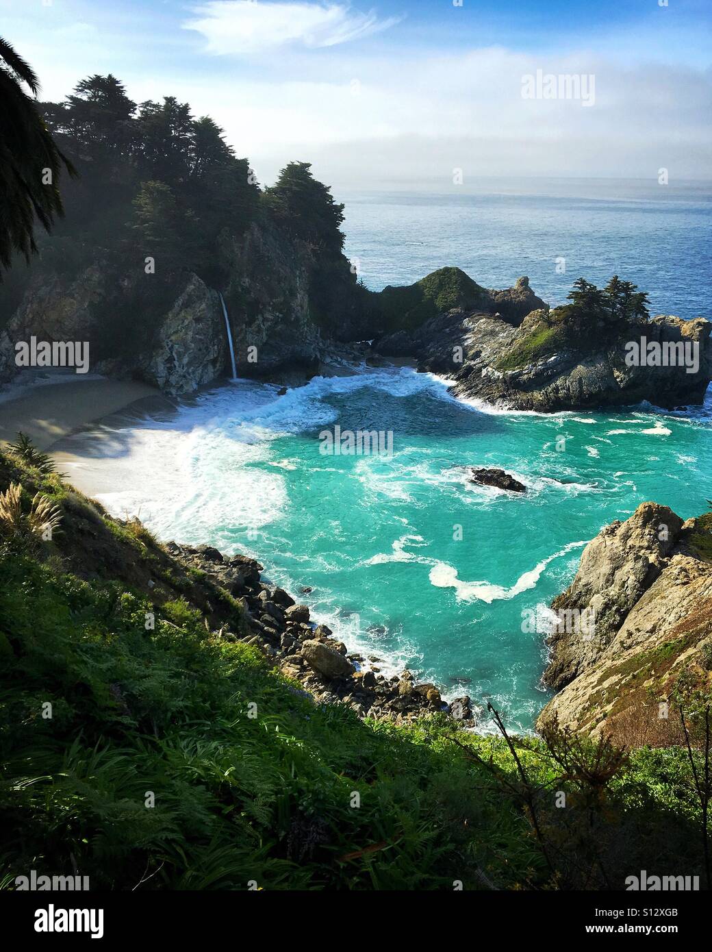 Bug sur hi-res stock photography and images - Alamy