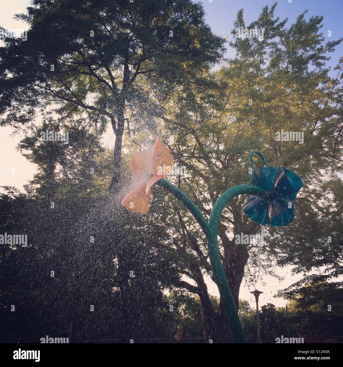 Refreshing flowers hi-res stock photography and images - Alamy