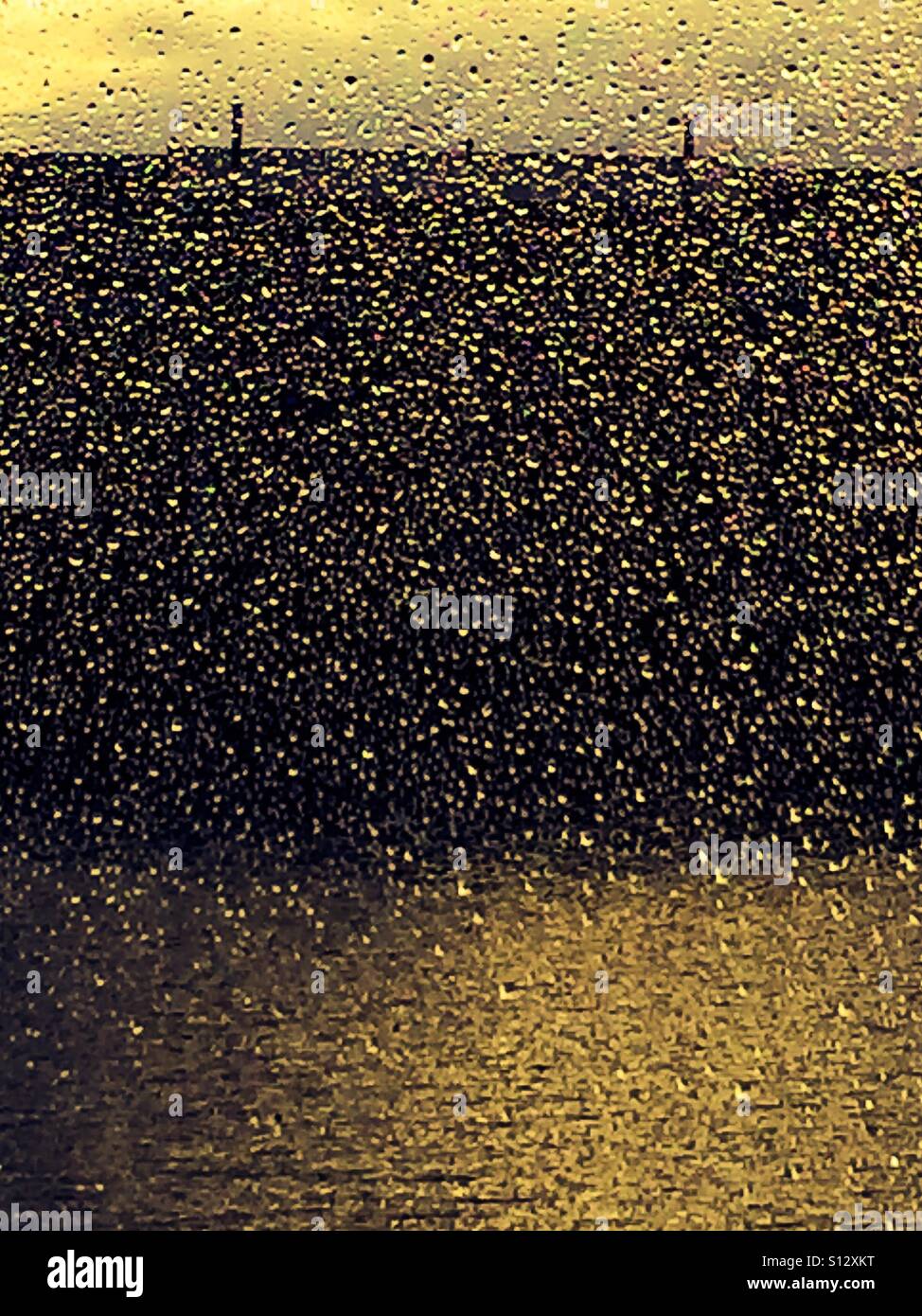 Golden rain hi-res stock photography and images - Alamy