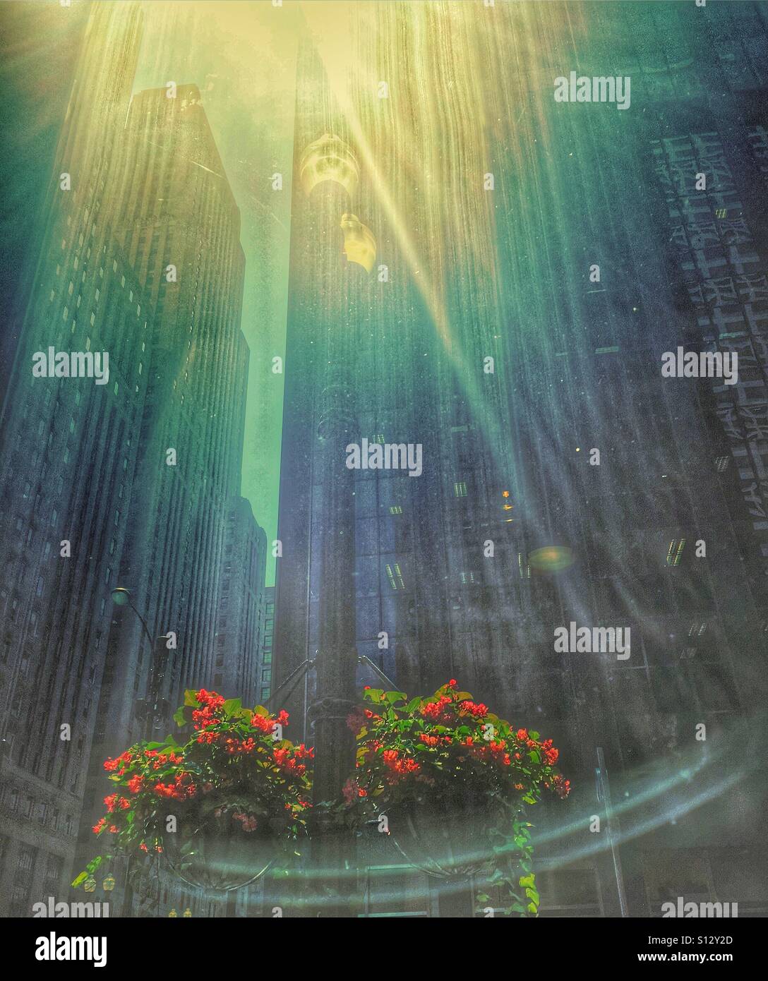 Noon sun rays filter through tall buildings Stock Photo - Alamy