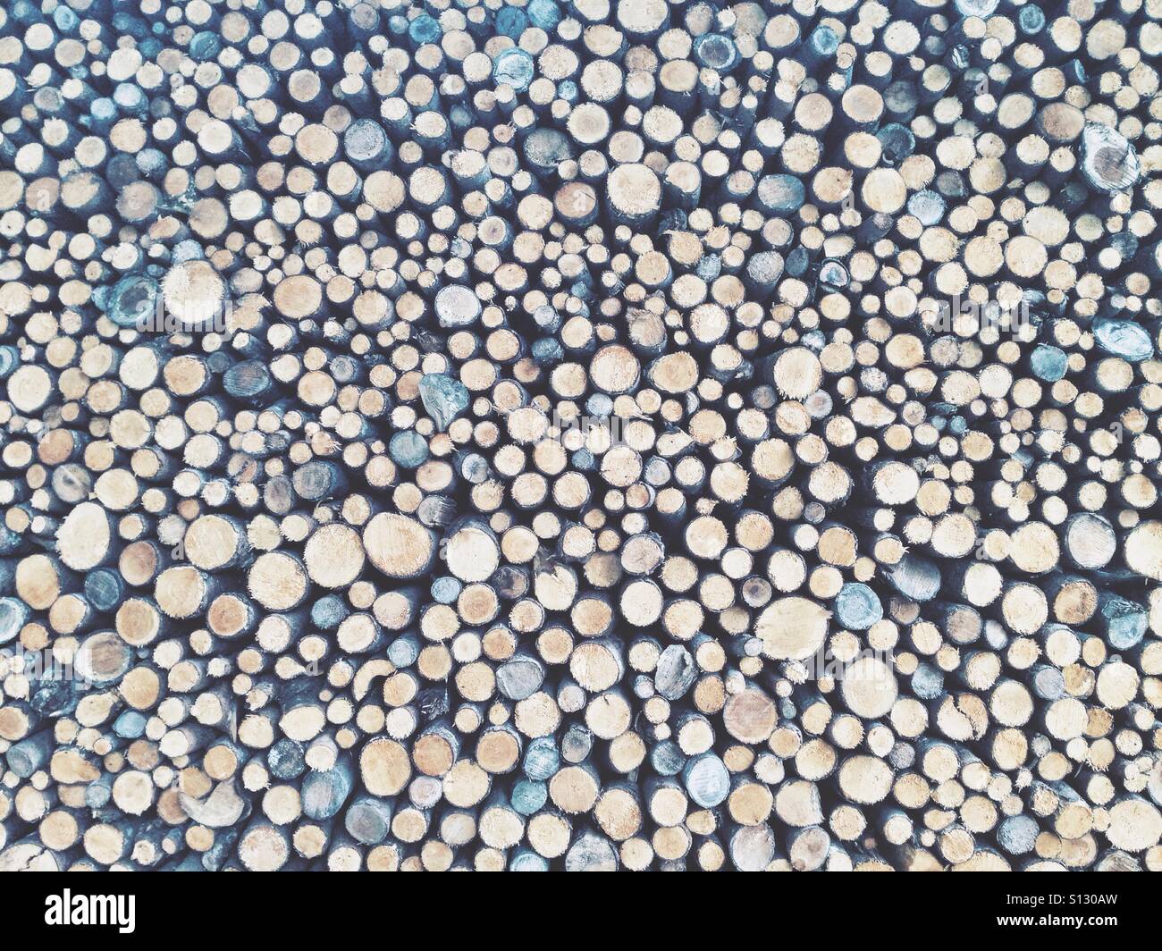 A stack of branches used as firewood Stock Photo - Alamy