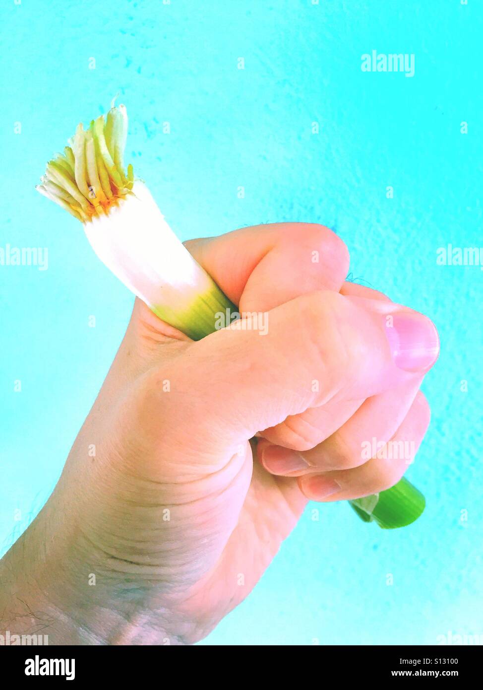 Leeks hand hi-res stock photography and images - Alamy