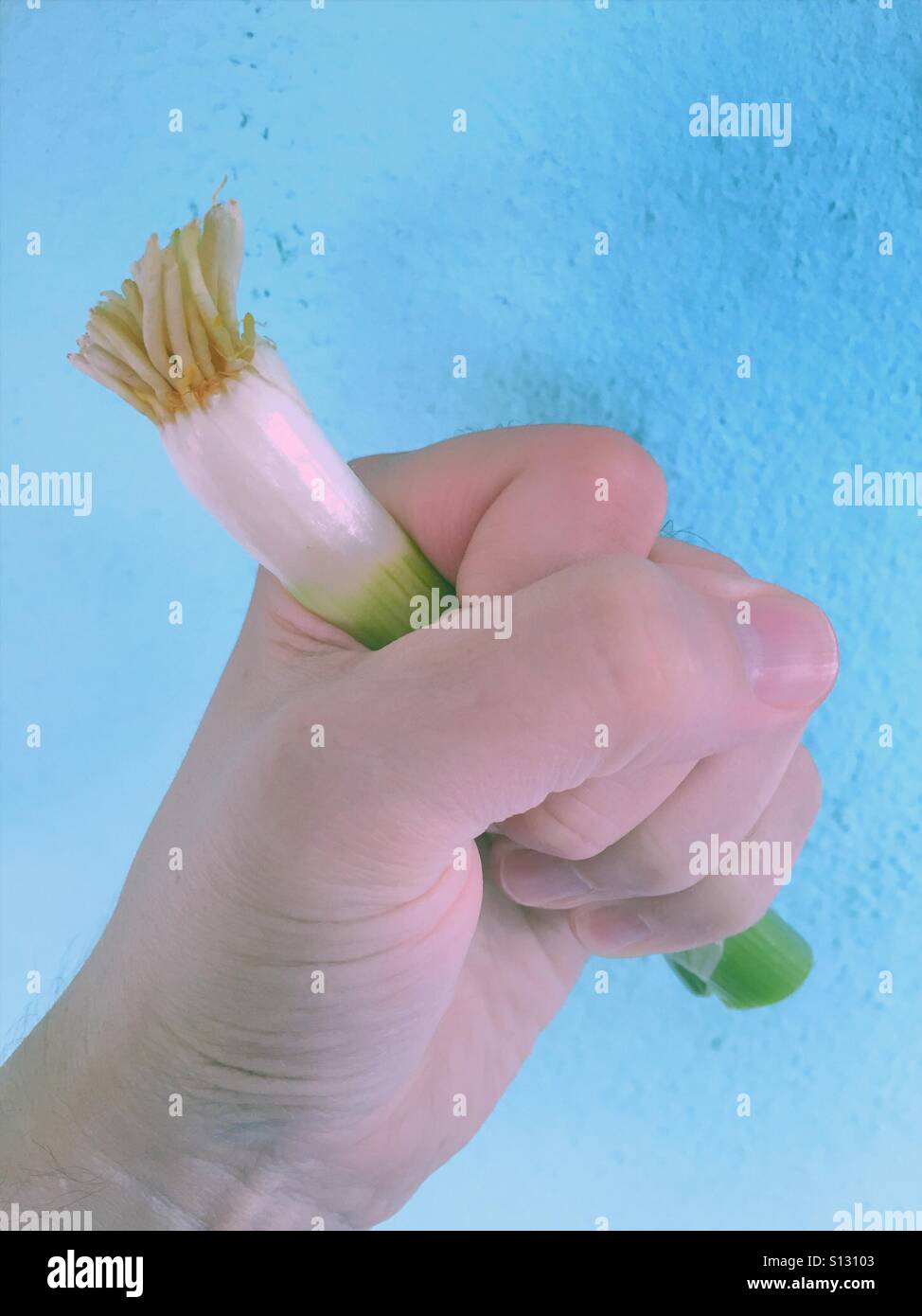 Veggie power. Hand holding a leek Stock Photo - Alamy