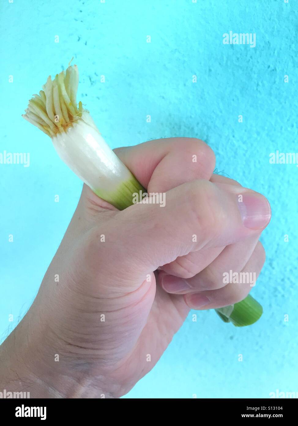 Holding leek hi-res stock photography and images - Alamy