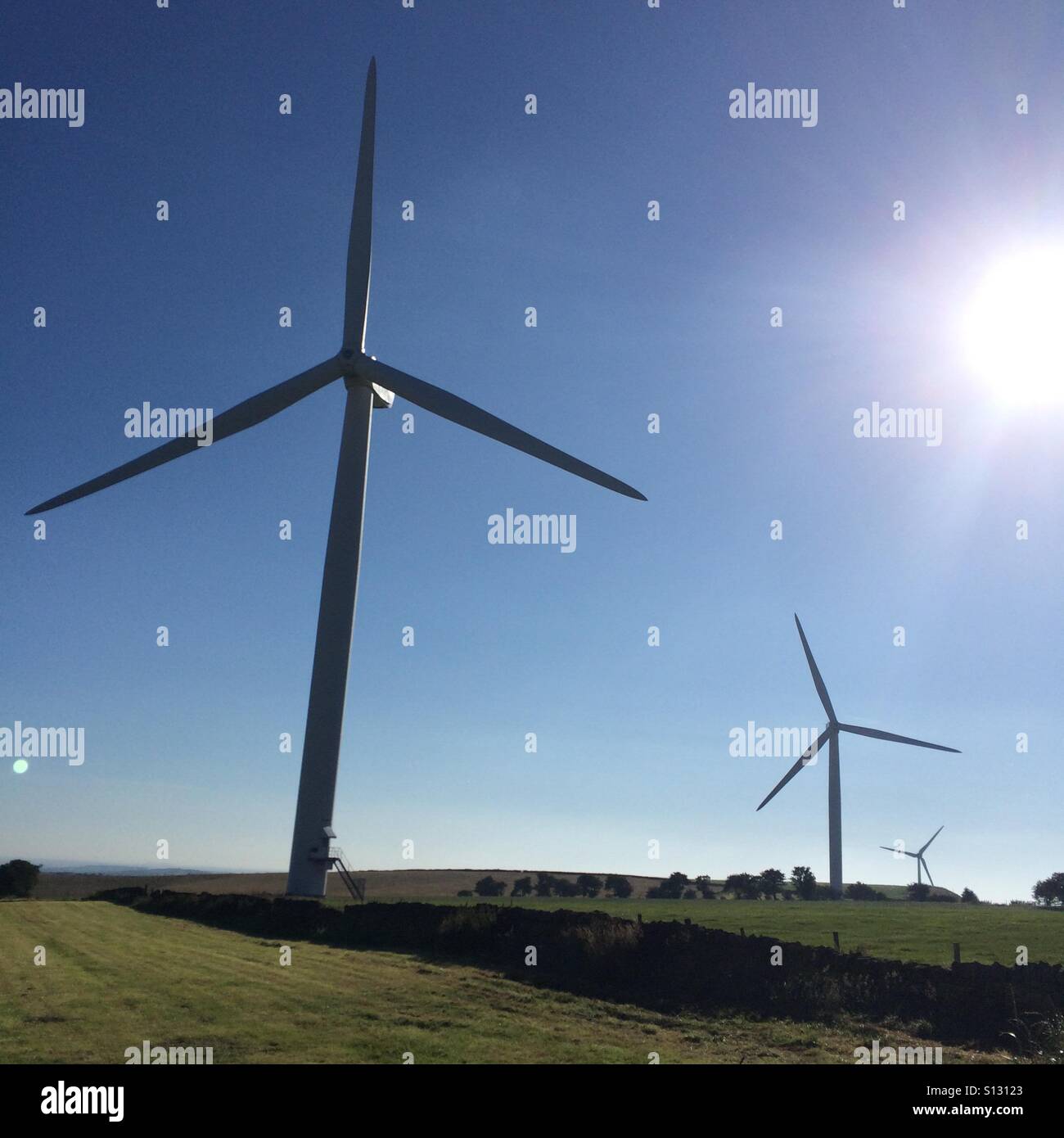 Royd moor hi-res stock photography and images - Alamy
