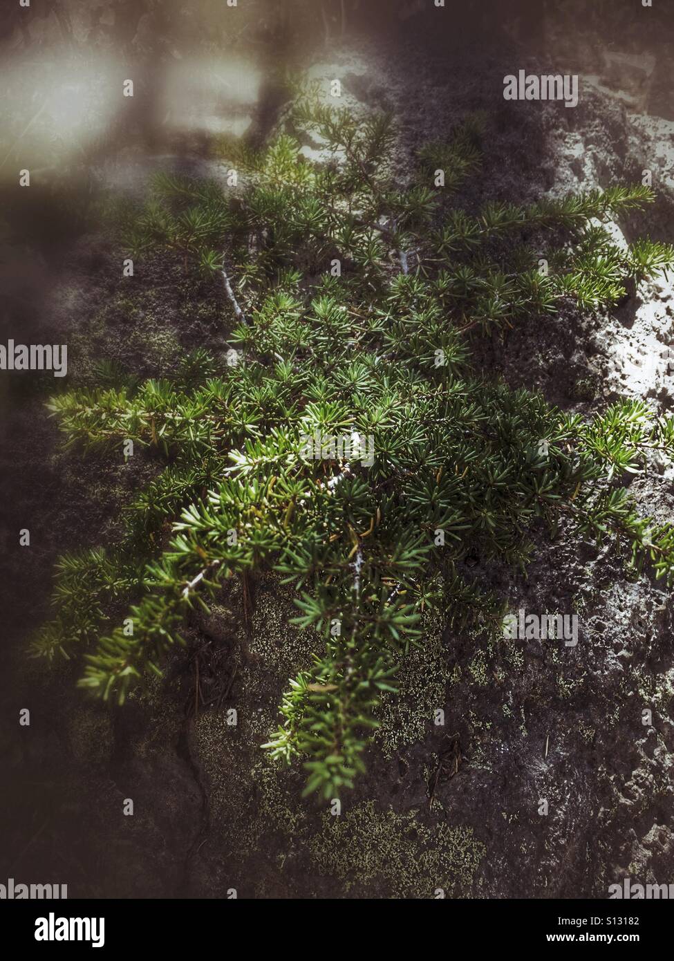 Tumalo mountain hi-res stock photography and images - Alamy