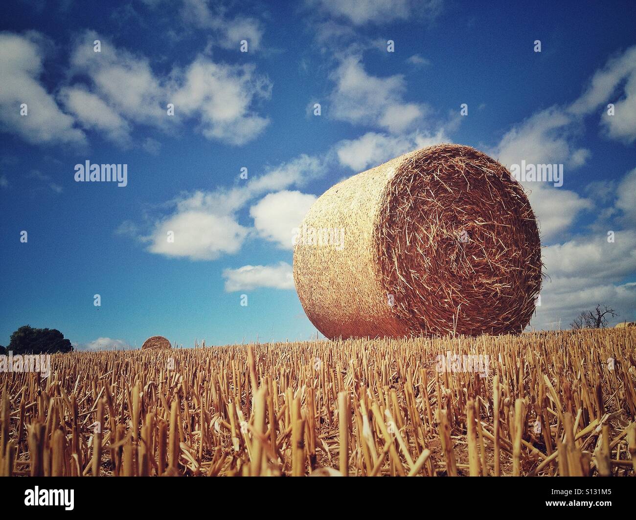 Round hay bale Stock Photo - Alamy