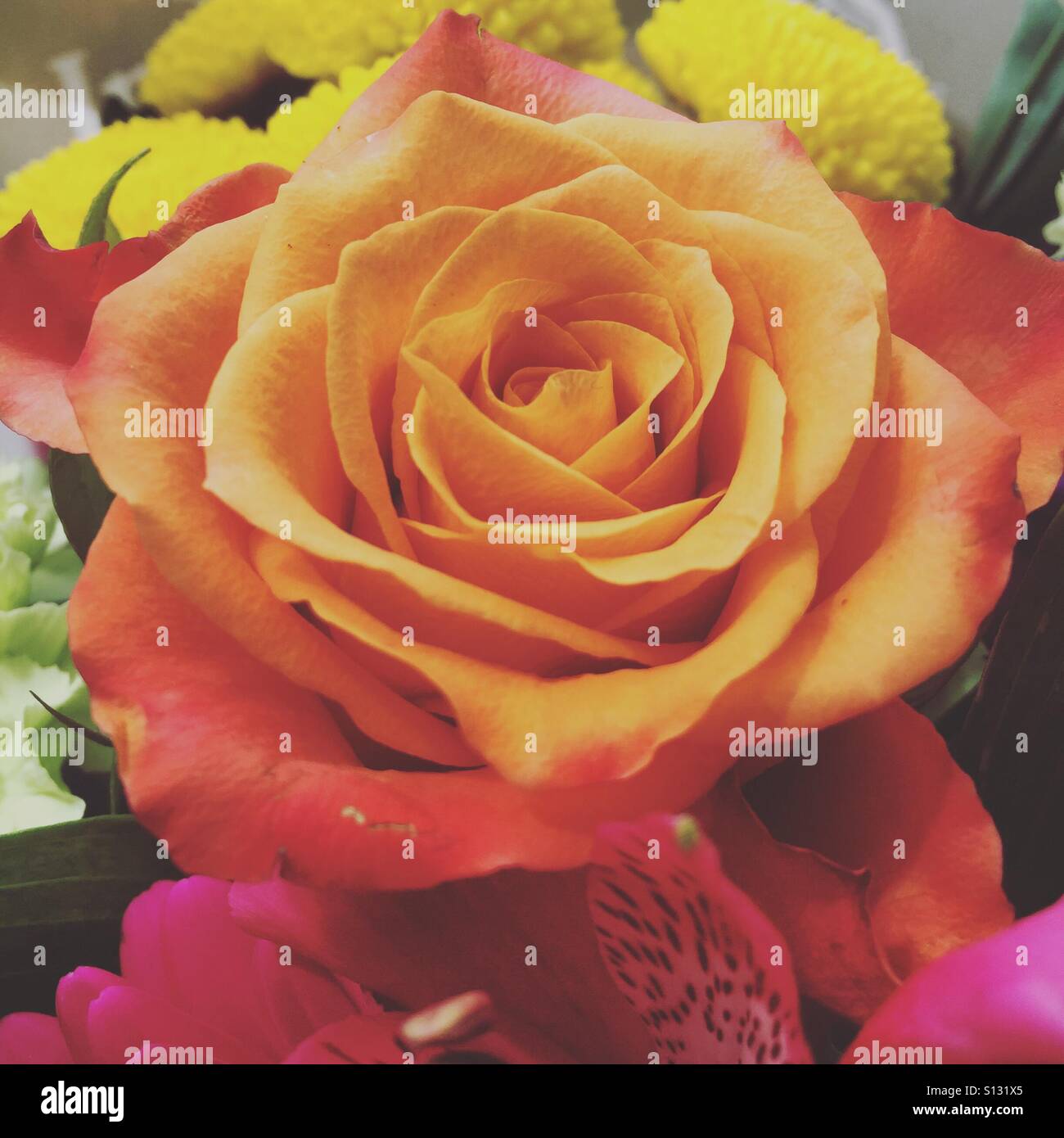 Faded blooms hi-res stock photography and images - Alamy