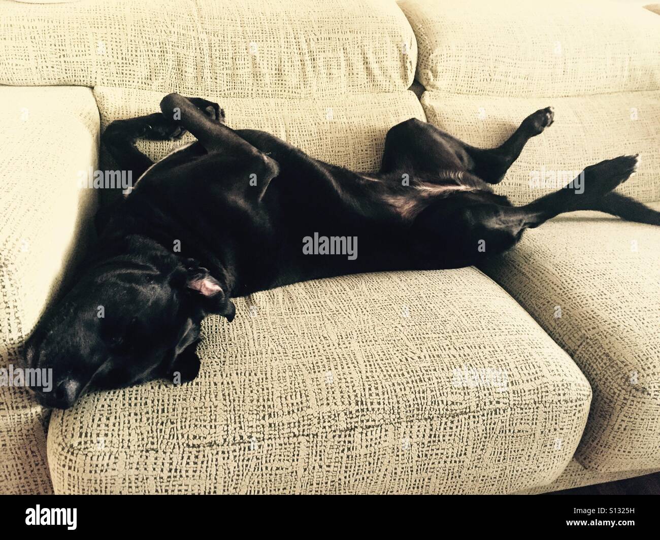 Nap queen hi-res stock photography and images - Alamy