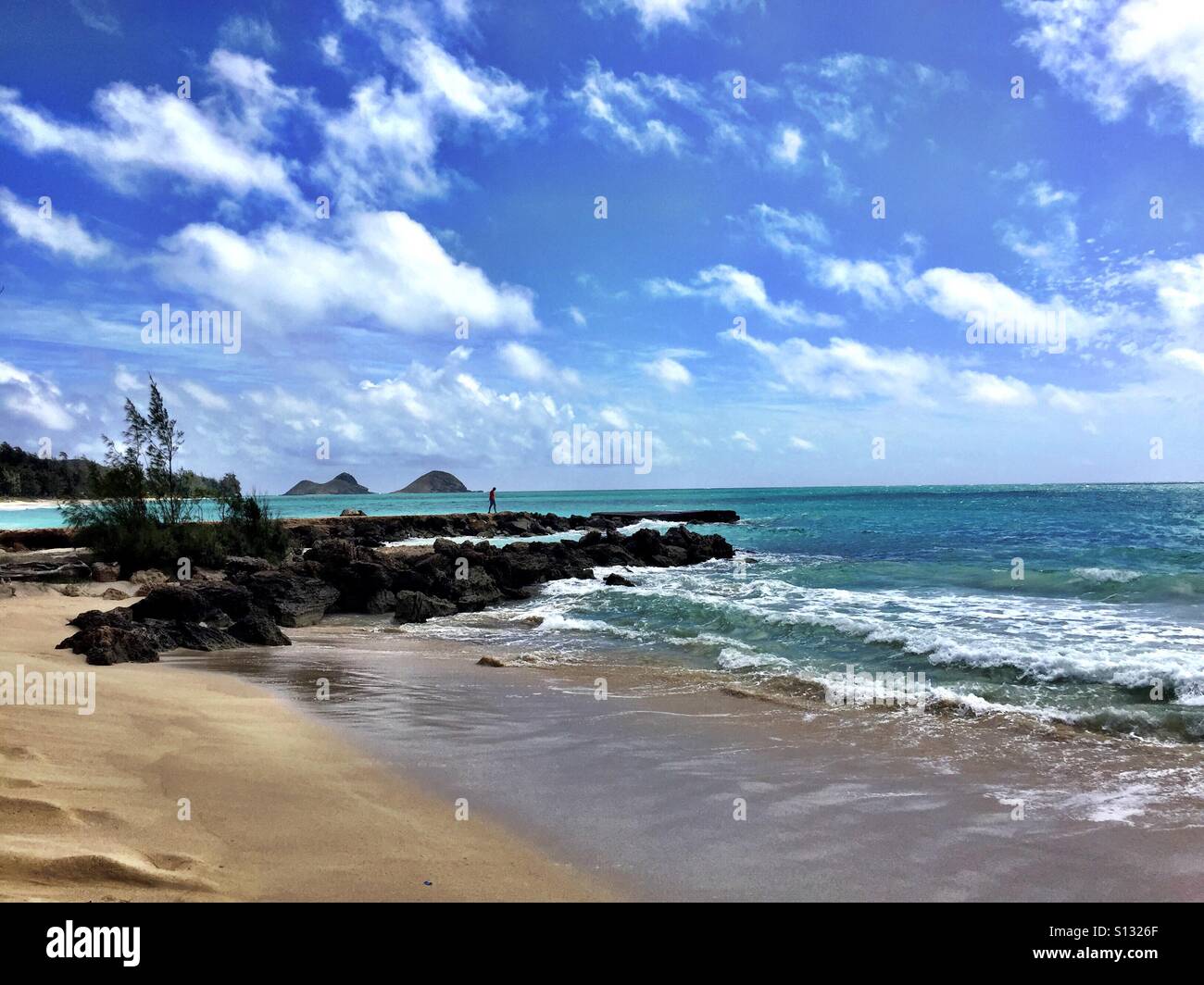 Bellows Beach High Resolution Stock Photography and Images - Alamy