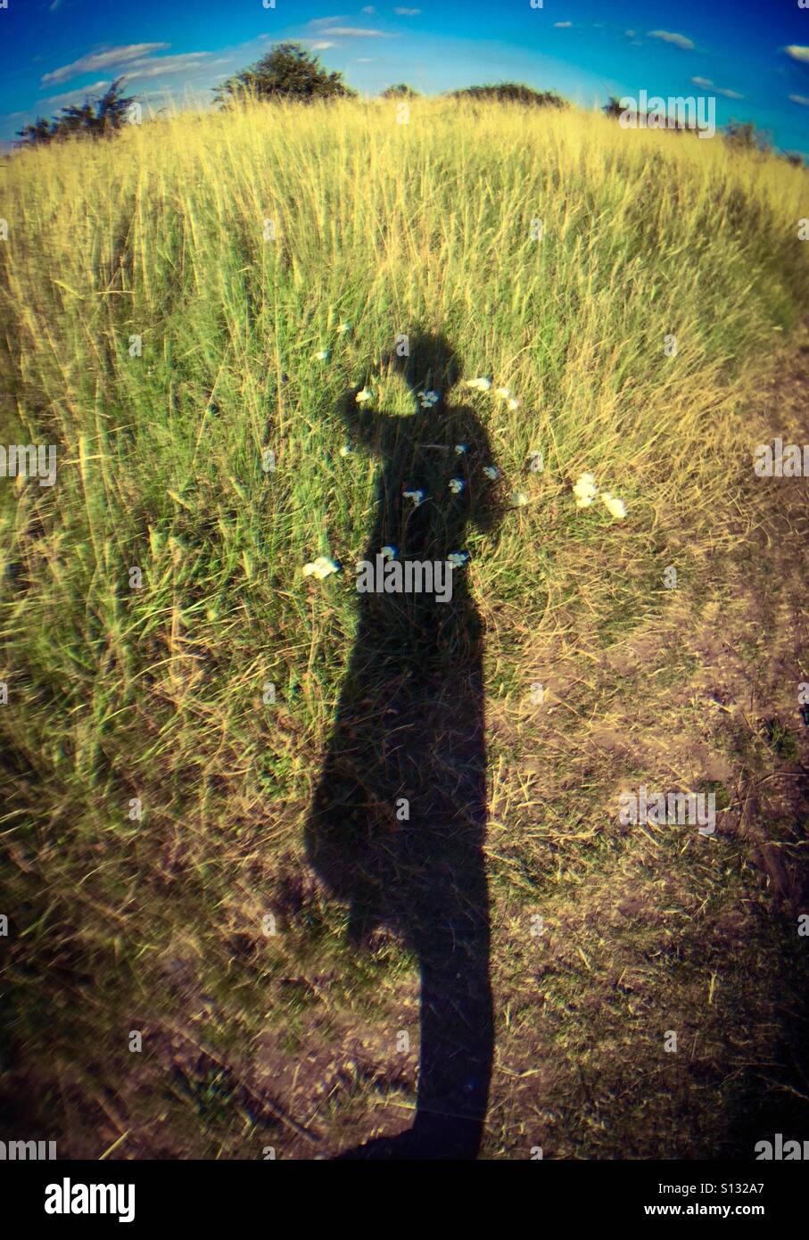 Shadow of lady hi-res stock photography and images - Alamy