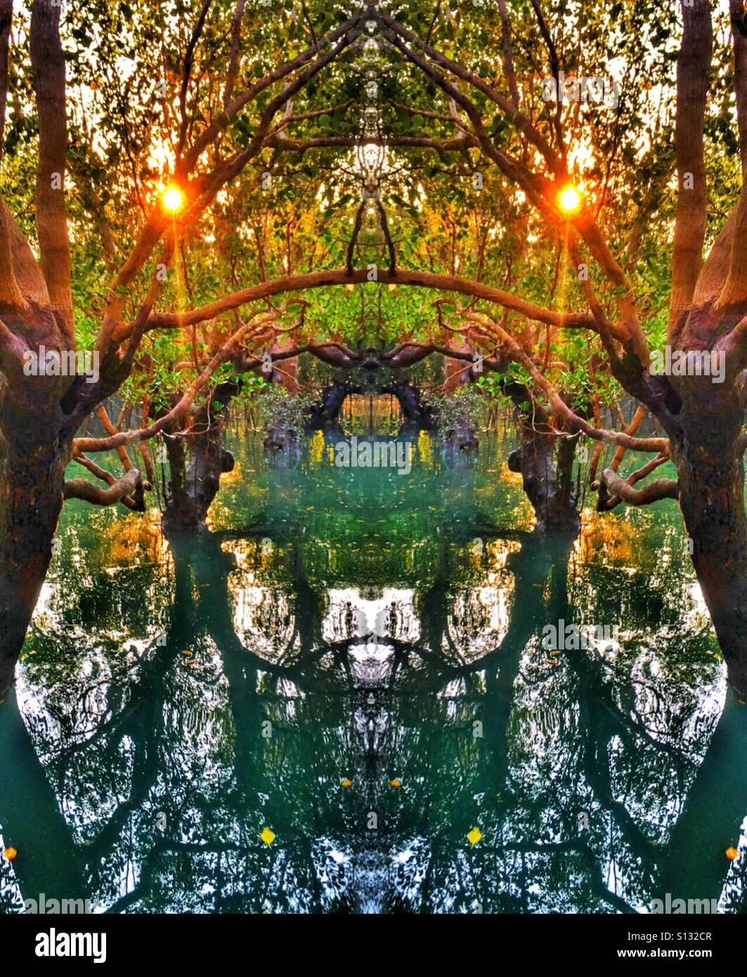 Altered perception hi-res stock photography and images - Alamy