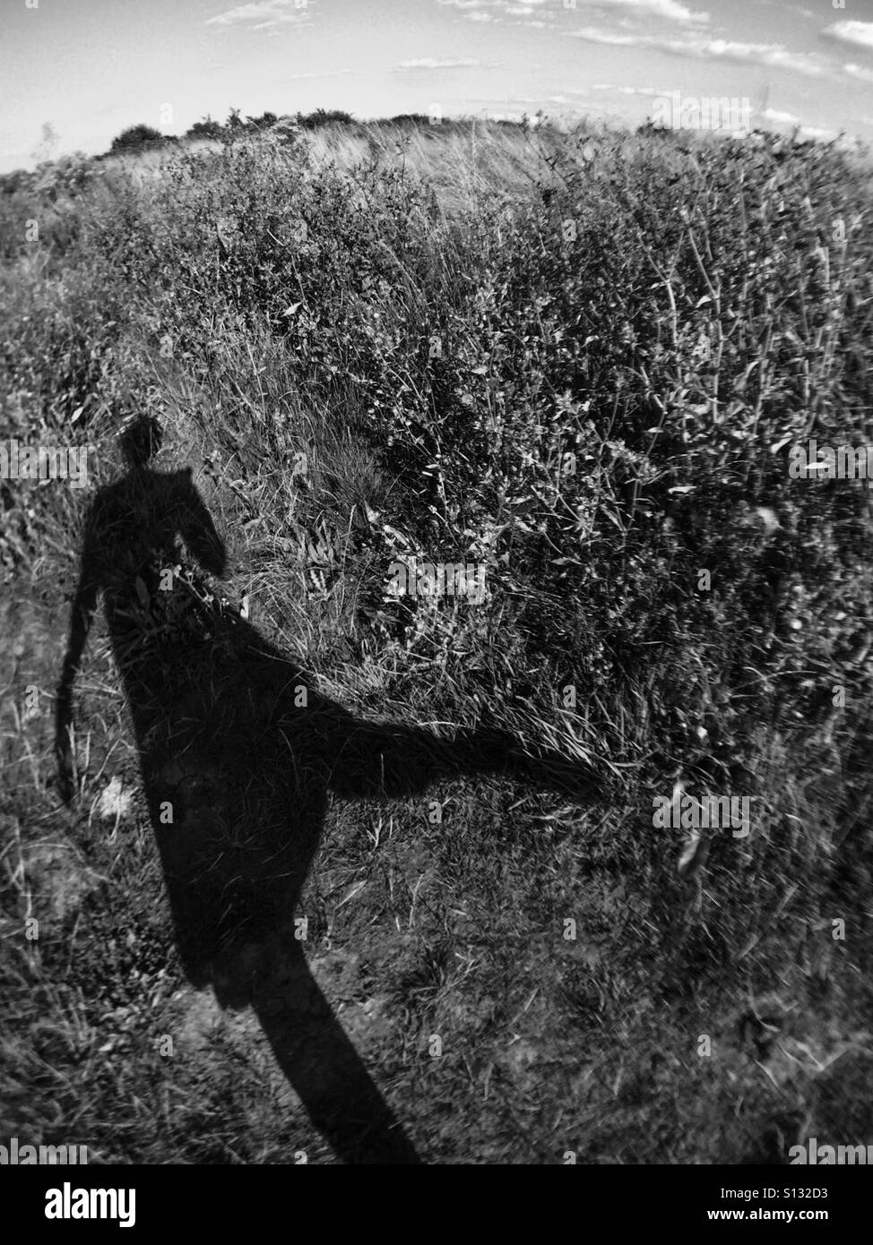 Shadow dancing hi-res stock photography and images - Alamy