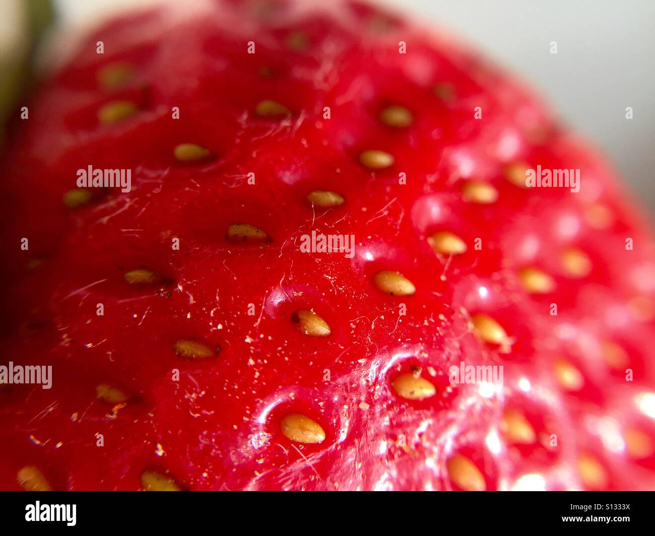 Strawberry macro in natural lighting Stock Photo - Alamy