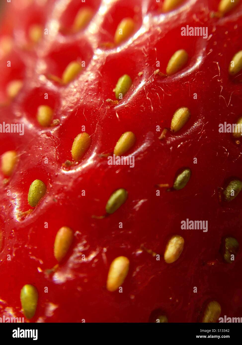 Strawberry seeds up close hi-res stock photography and images - Alamy