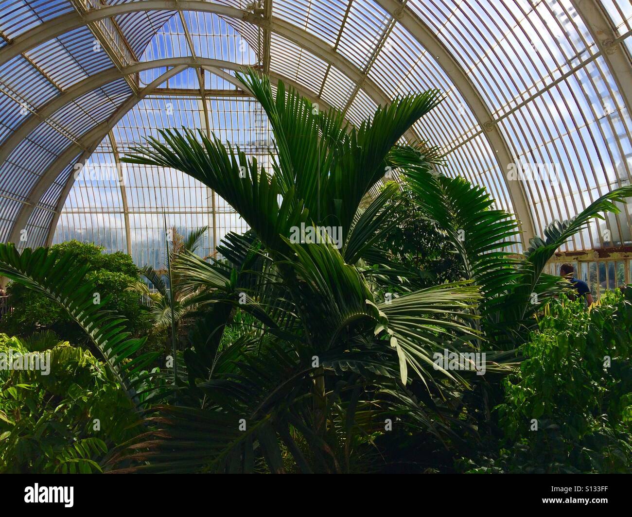 Palm House Kew Gardens London Stock Photos & Palm House Kew Gardens ...