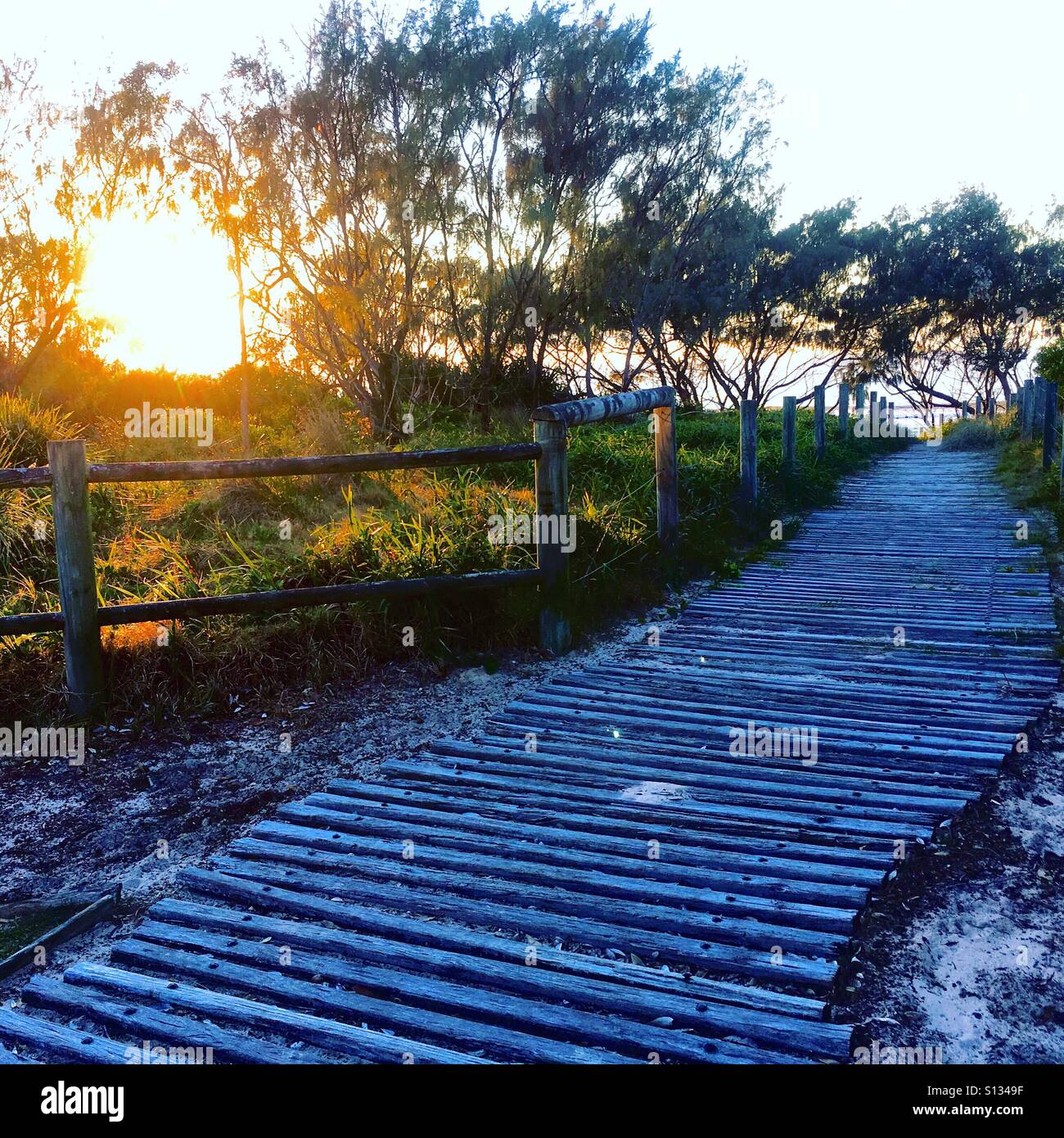 Follow which path hi-res stock photography and images - Alamy