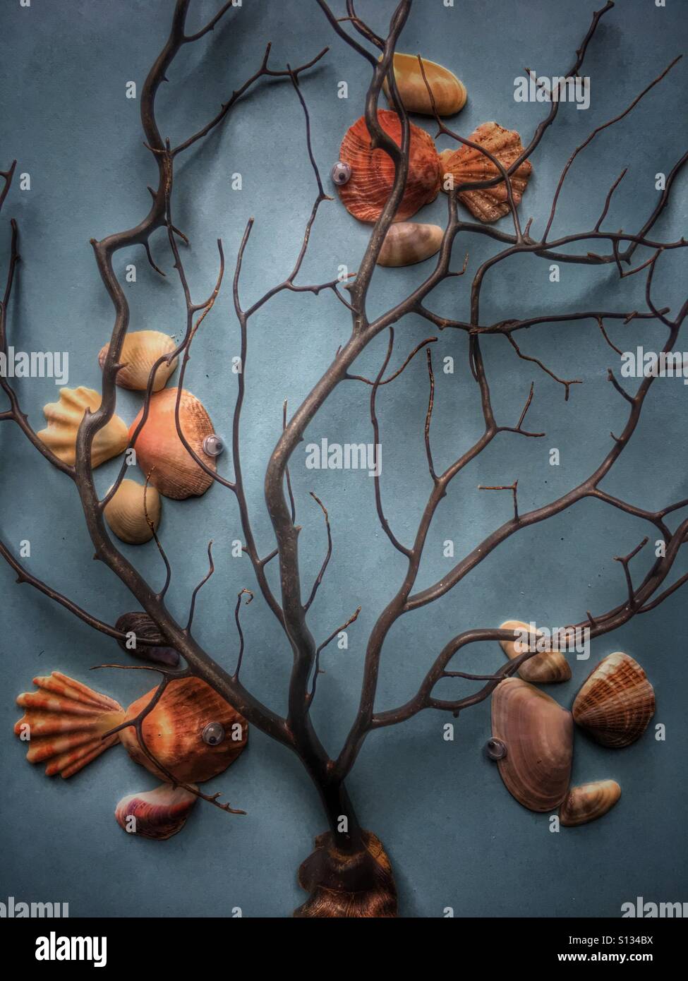 Seashell fish and coral Stock Photo - Alamy