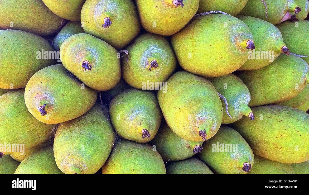 Mini coconuts hi-res stock photography and images - Alamy
