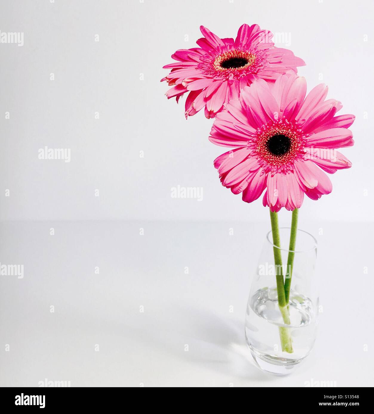 Two gerbers hi-res stock photography and images - Alamy