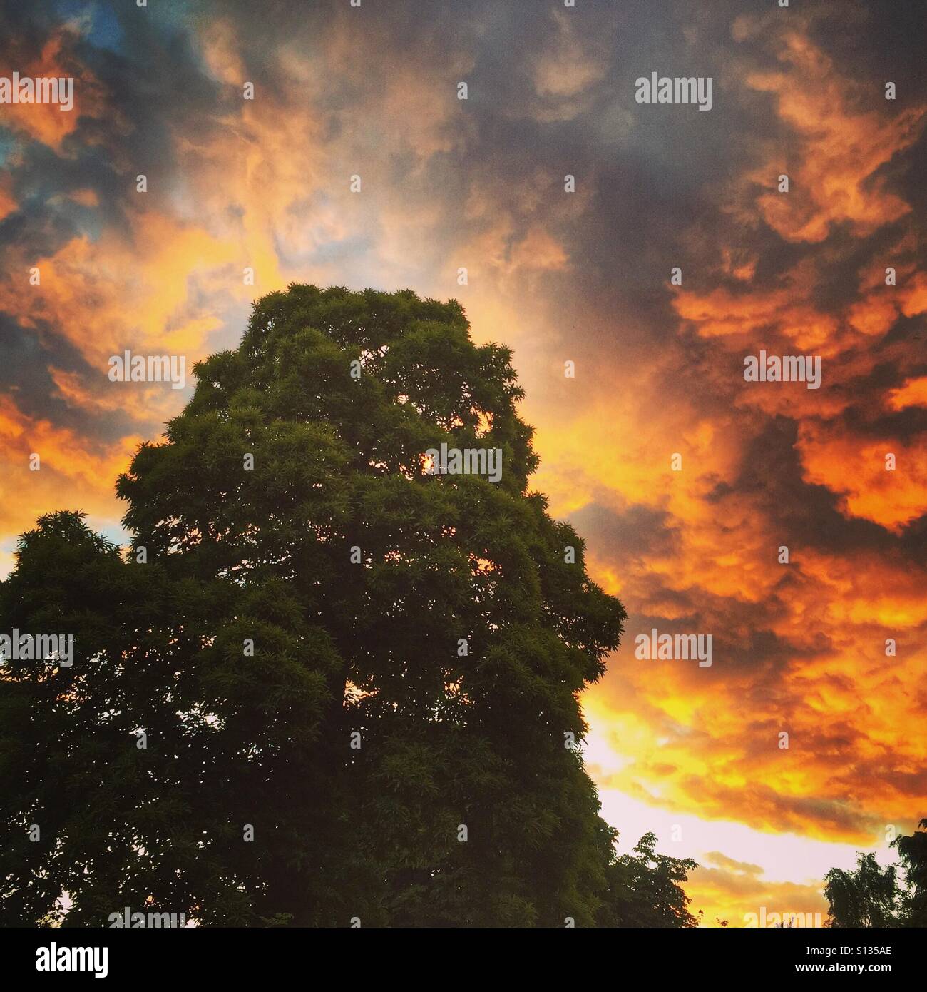 Vivid sunset hi-res stock photography and images - Alamy