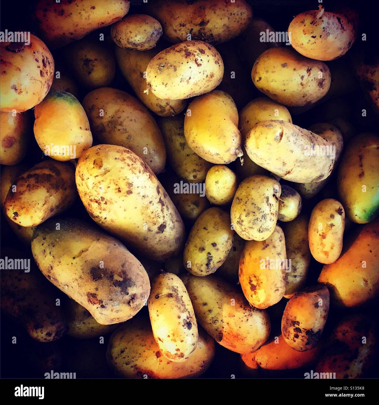 Earth up potatoes hi-res stock photography and images - Alamy
