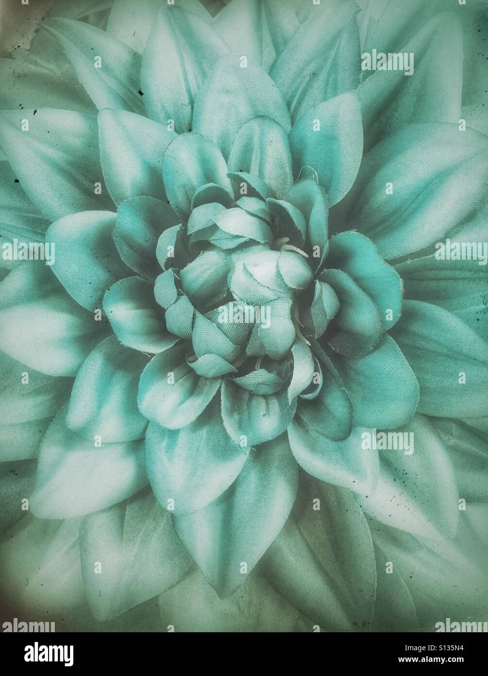 Synthetic flower hi-res stock photography and images - Alamy