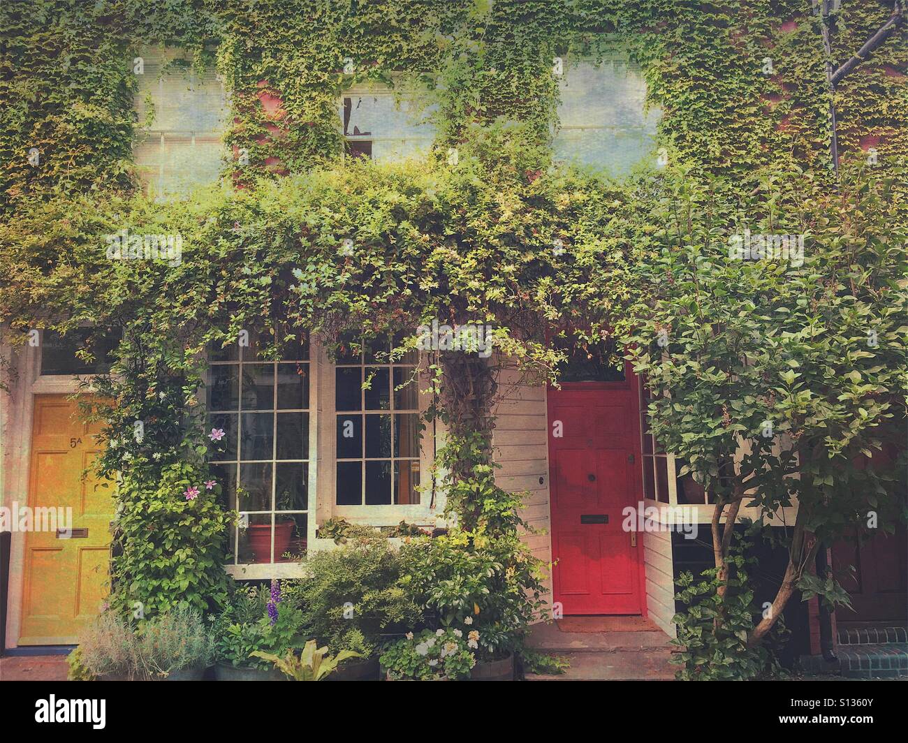 Vine covered house hi-res stock photography and images - Alamy