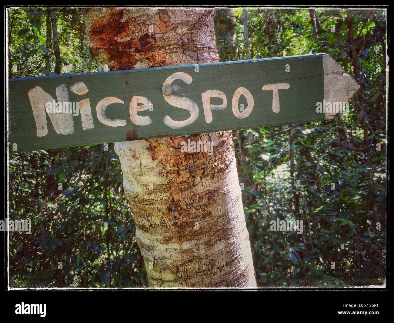 Spot spot hi-res stock photography and images - Alamy